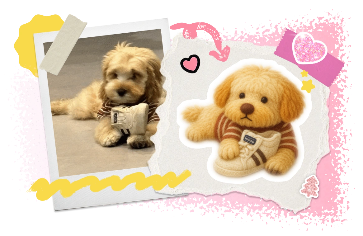 ColadaPic - Turn Everyday Photos into Sticker Stories