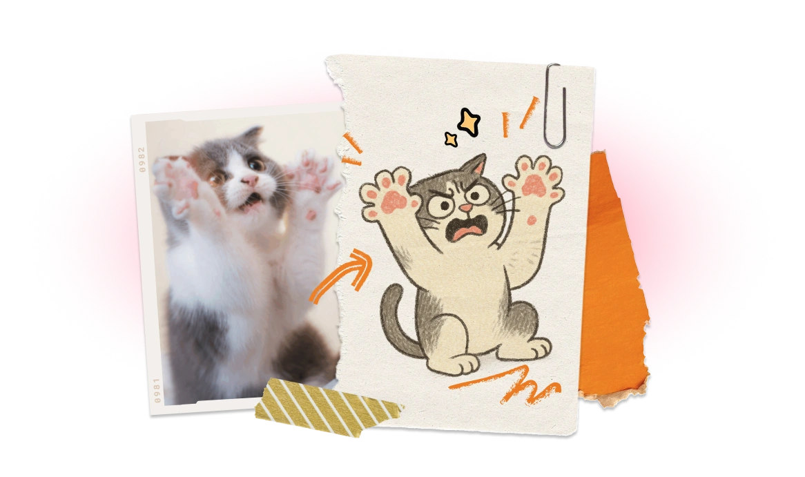 ColadaPic - Turn Everyday Photos into Sticker Stories